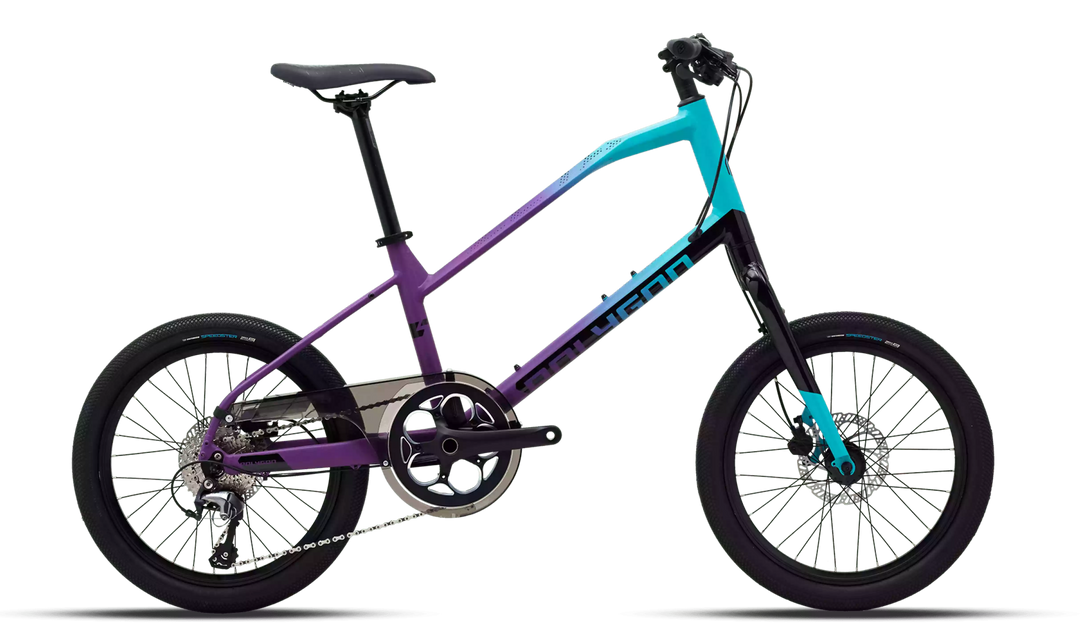 Polygon Zeta 2 Urban Bikes | Polygon Bikes – KIBI SPORTS